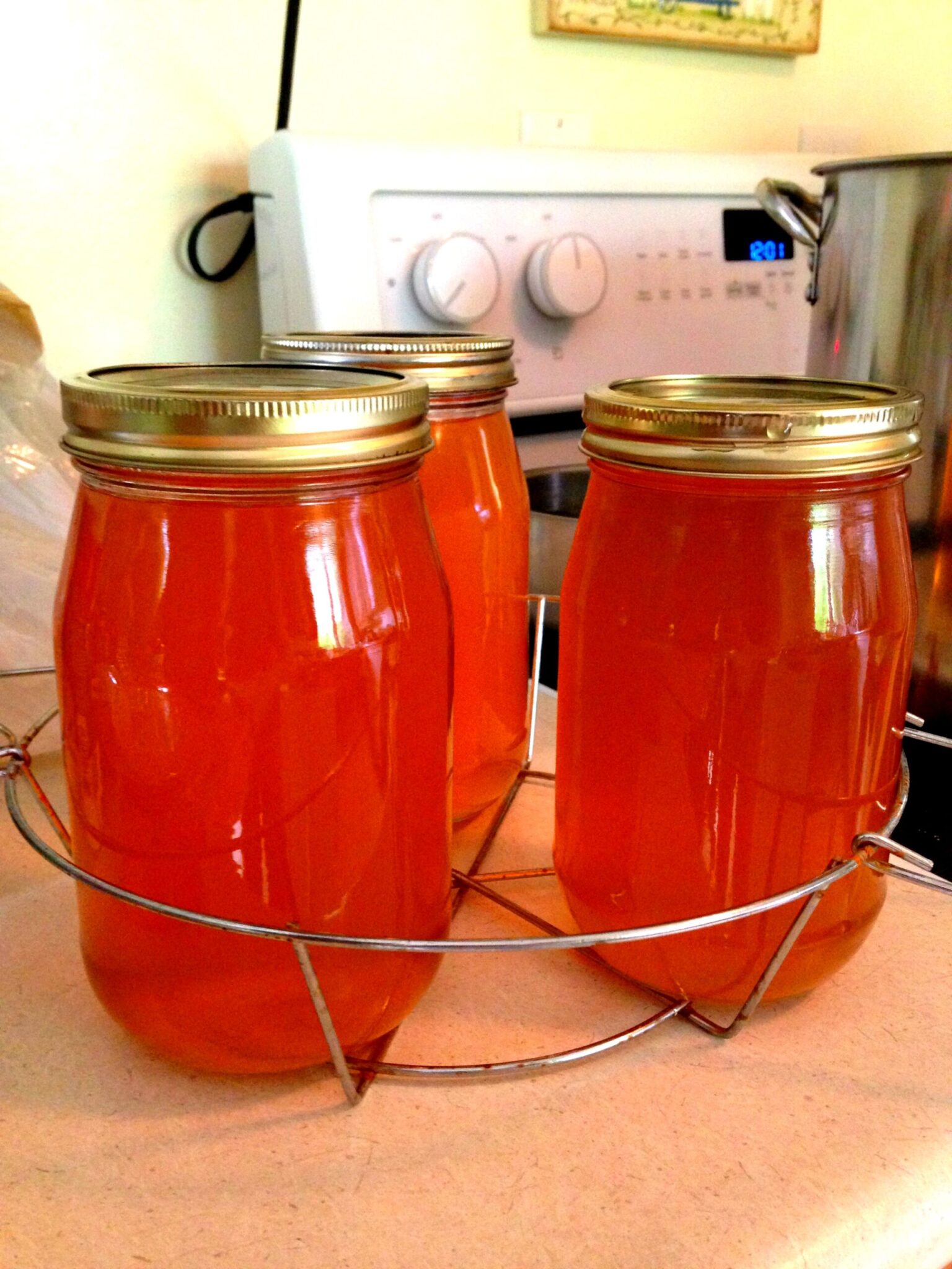 How to Make Crab Apple Juice | Shifting Roots