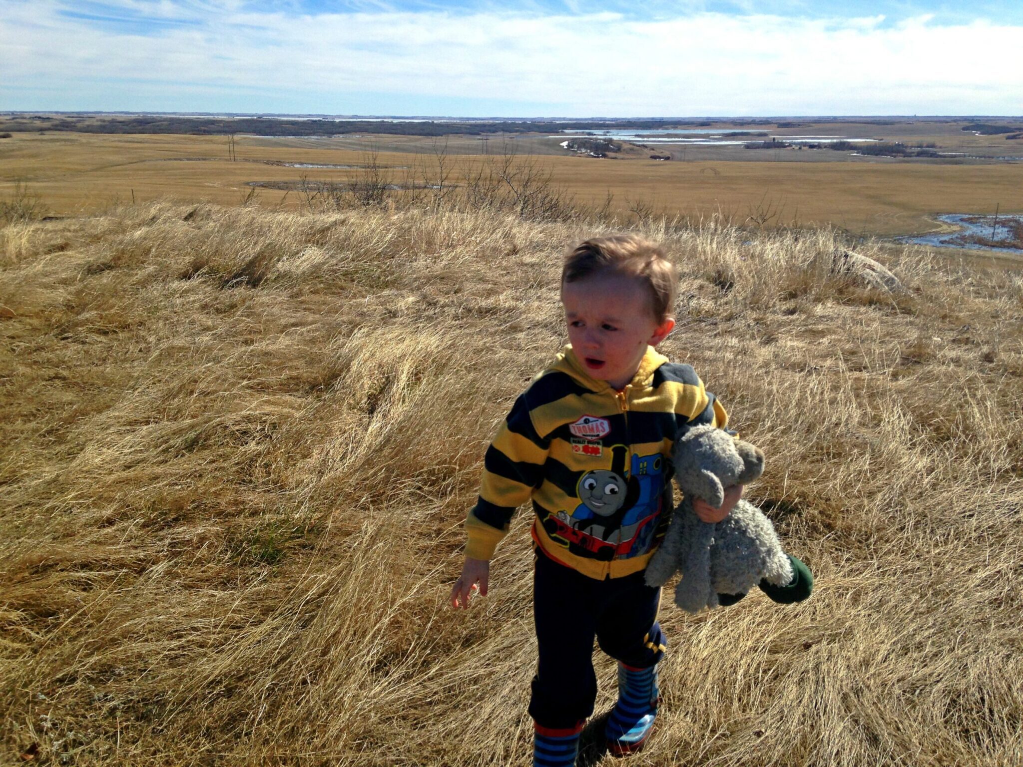 The Best Secret Spots to Find Crocuses in Saskatchewan | Shifting Roots
