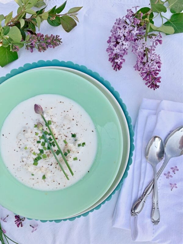 Creamy Chive Dumpling Soup | Shifting Roots