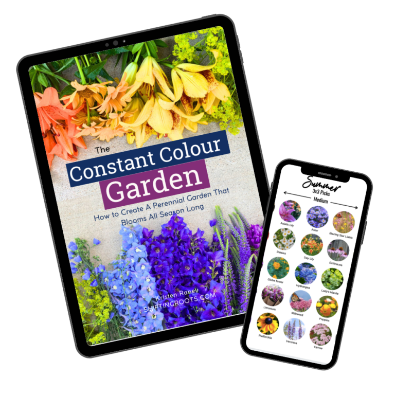 Constant Colour Garden | Shifting Roots