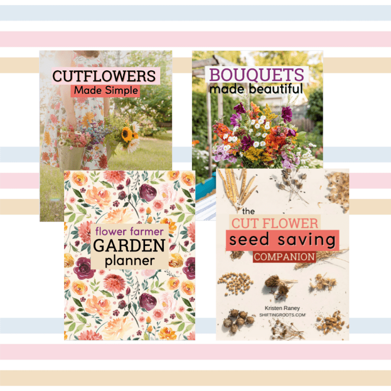 Ultimate Cut Flower Bundle | Shifting Roots