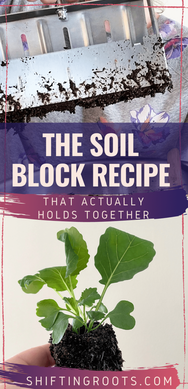 The Soil Block Recipe That Actually Holds Together | Shifting Roots