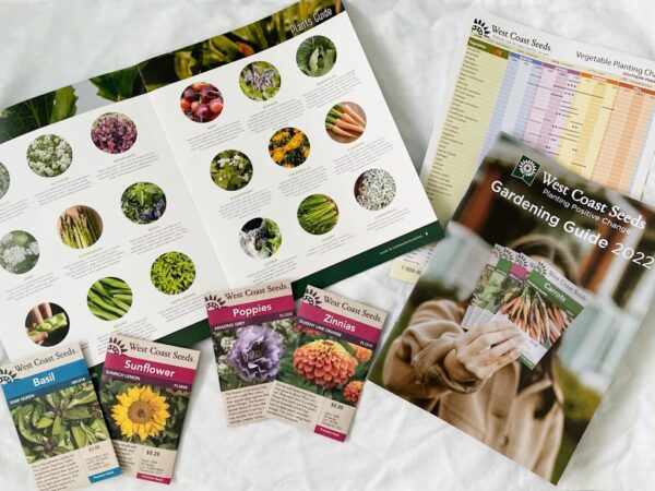 Why Buy Organic and Heirloom Seeds? | Shifting Roots