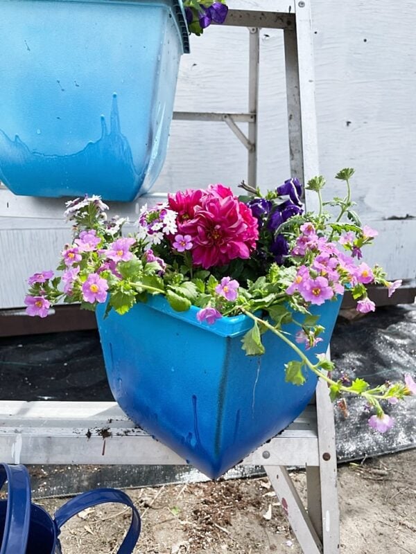 DIY Plastic Flower Pot Makeover | Shifting Roots