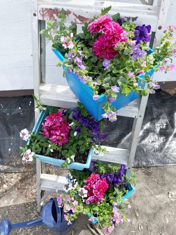 DIY Plastic Flower Pot Makeover | Shifting Roots