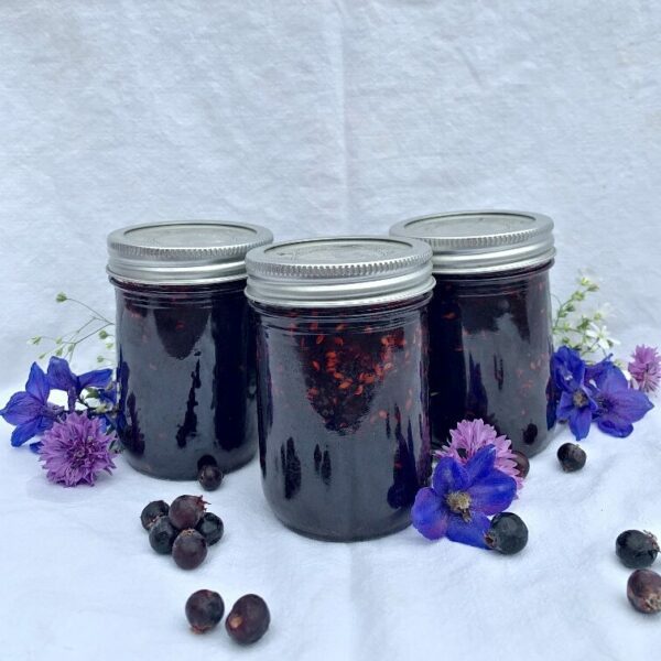 Saskatoon Berry Jam | Shifting Roots