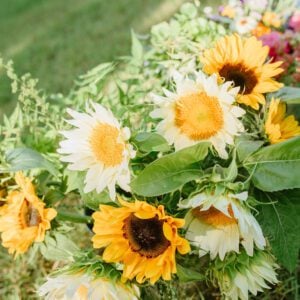 Start Here | Shifting Roots