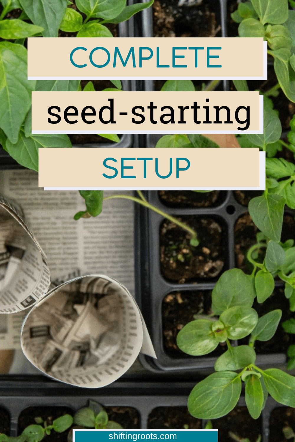 Complete Seed Starting Setup for Successful Seedlings | Shifting Roots