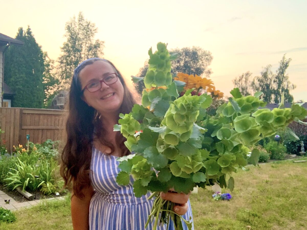 4 Foolproof Ways to Germinate Bells of Ireland | Shifting Roots