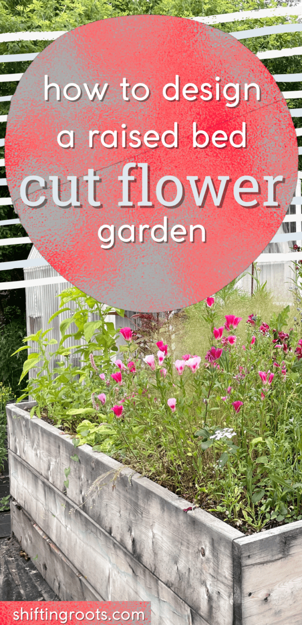 How to Design a Cut Flower Garden in Raised Beds | Shifting Roots