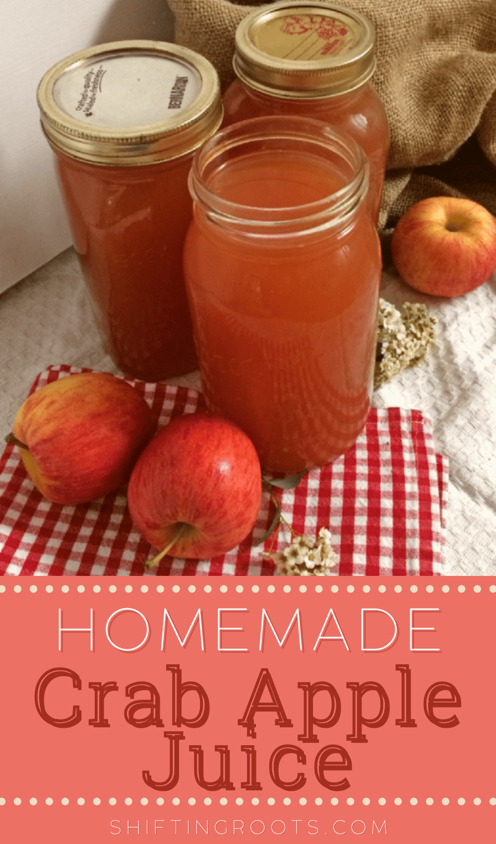 How to Make Crab Apple Juice | Shifting Roots