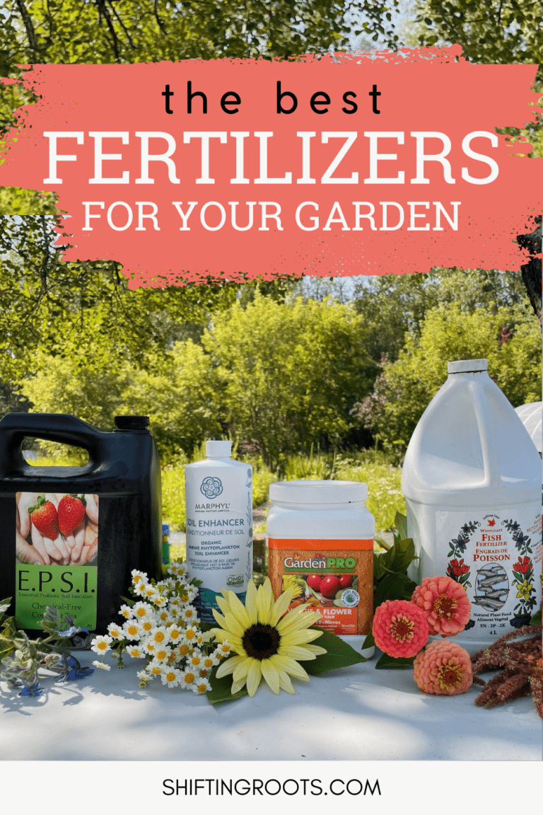 Best Fertilizers for Your Garden | Shifting Roots