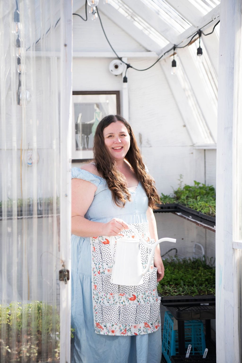 Best Fertilizers For Your Garden Shifting Roots