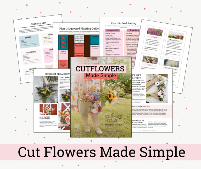 Fast-Blooming Cut Flowers for Short Growing Seasons | Shifting Roots