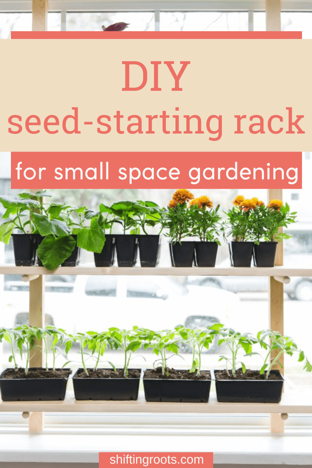 DIY Seed Starting Rack for Small Space Gardening | Shifting Roots