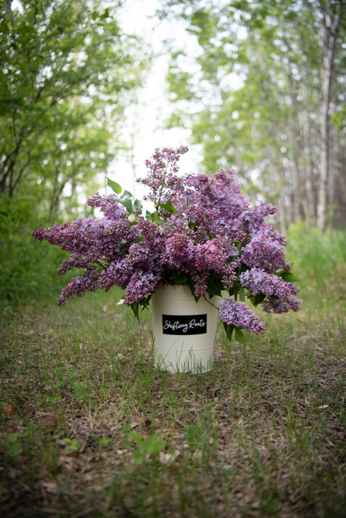 The 35 Best Cut Flowers to Feed Your Floral Arranging Habit All Summer ...