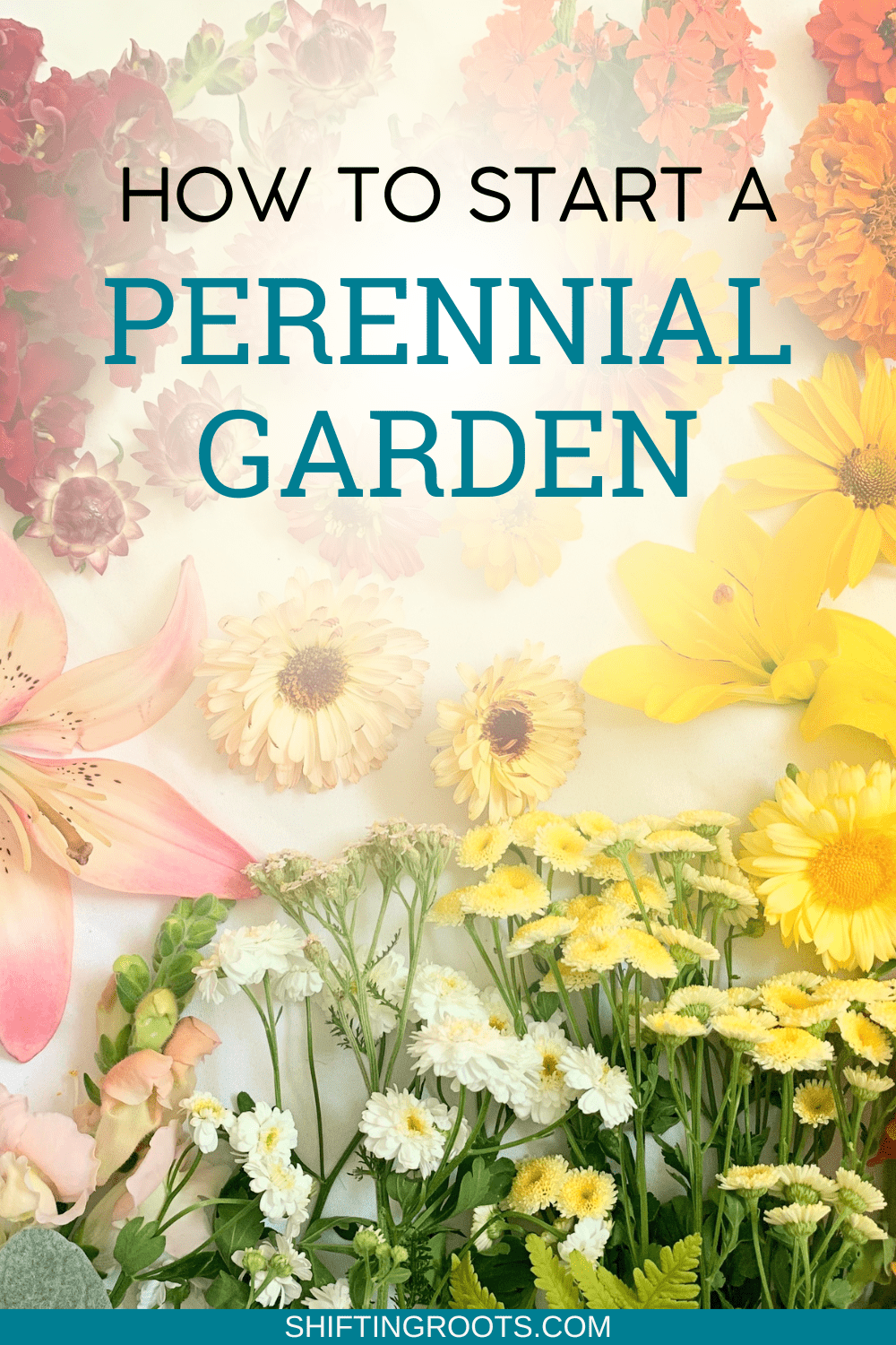 How to Start a Perennial Garden | Shifting Roots