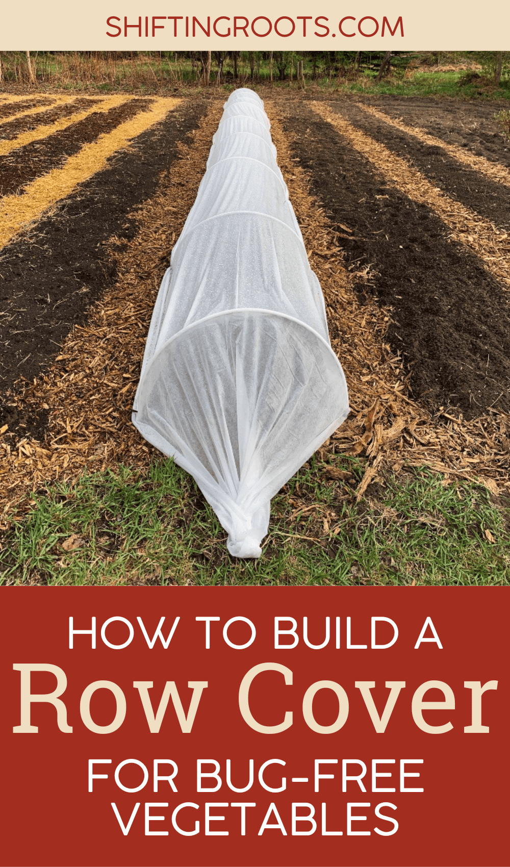 How to Build Row Covers (and Protect Your Cruciferous Vegetables ...