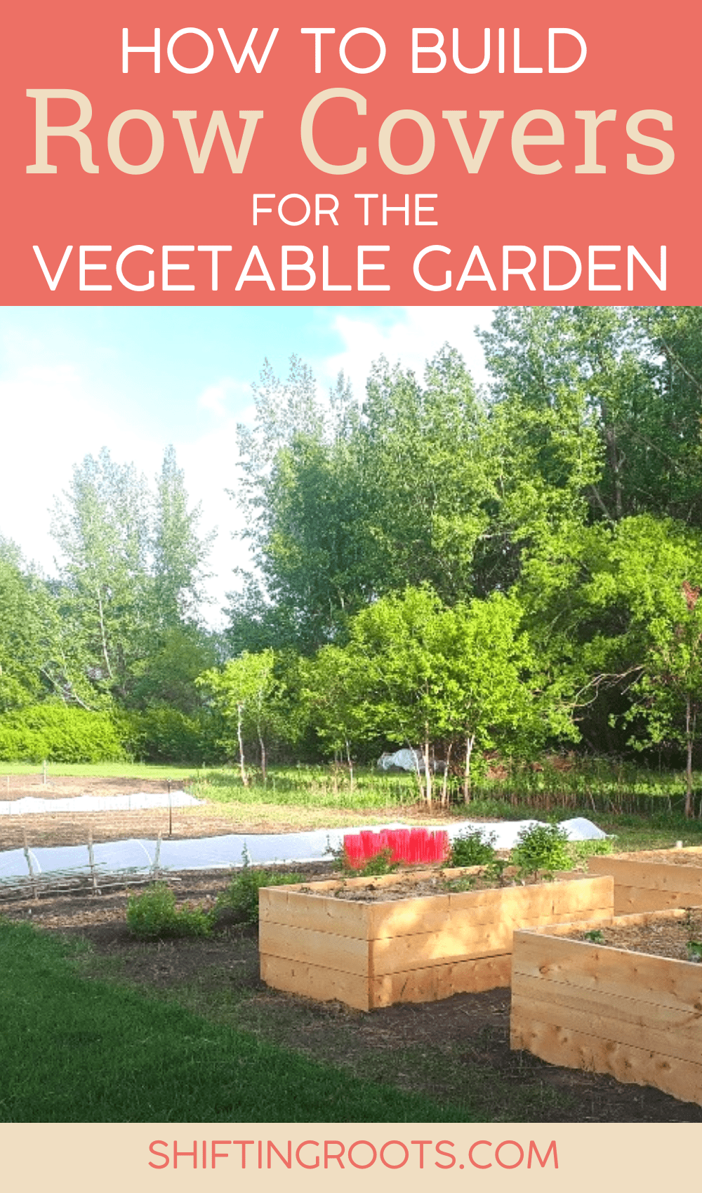 How to Build Row Covers (and Protect Your Cruciferous Vegetables ...