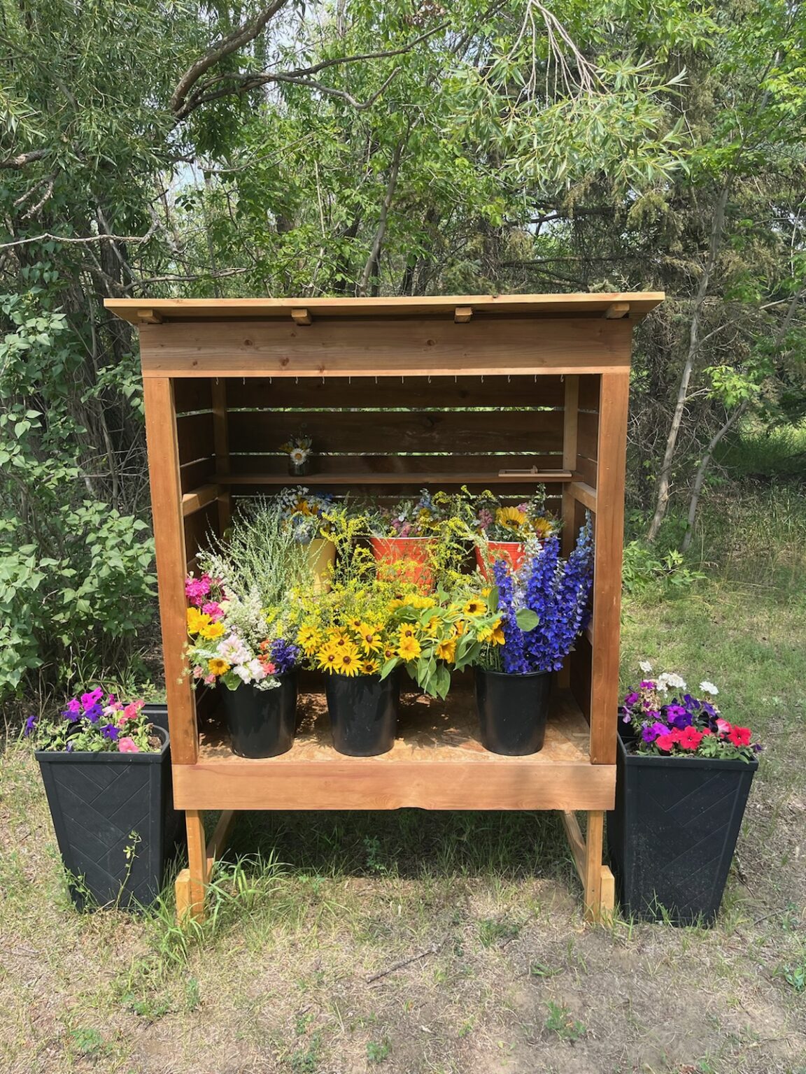 What I Learned in My First Year Running a Farm Stand | Shifting Roots