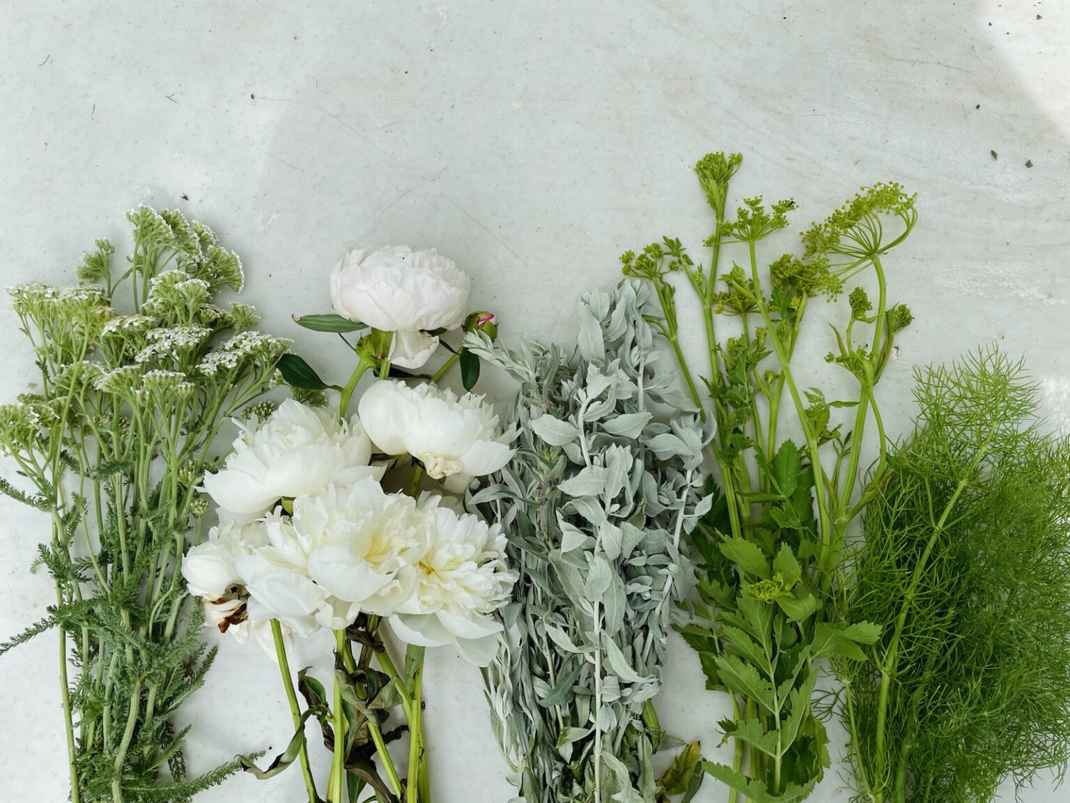 How to Grow a Low-Maintenance, Wildflower Garden | Shifting Roots