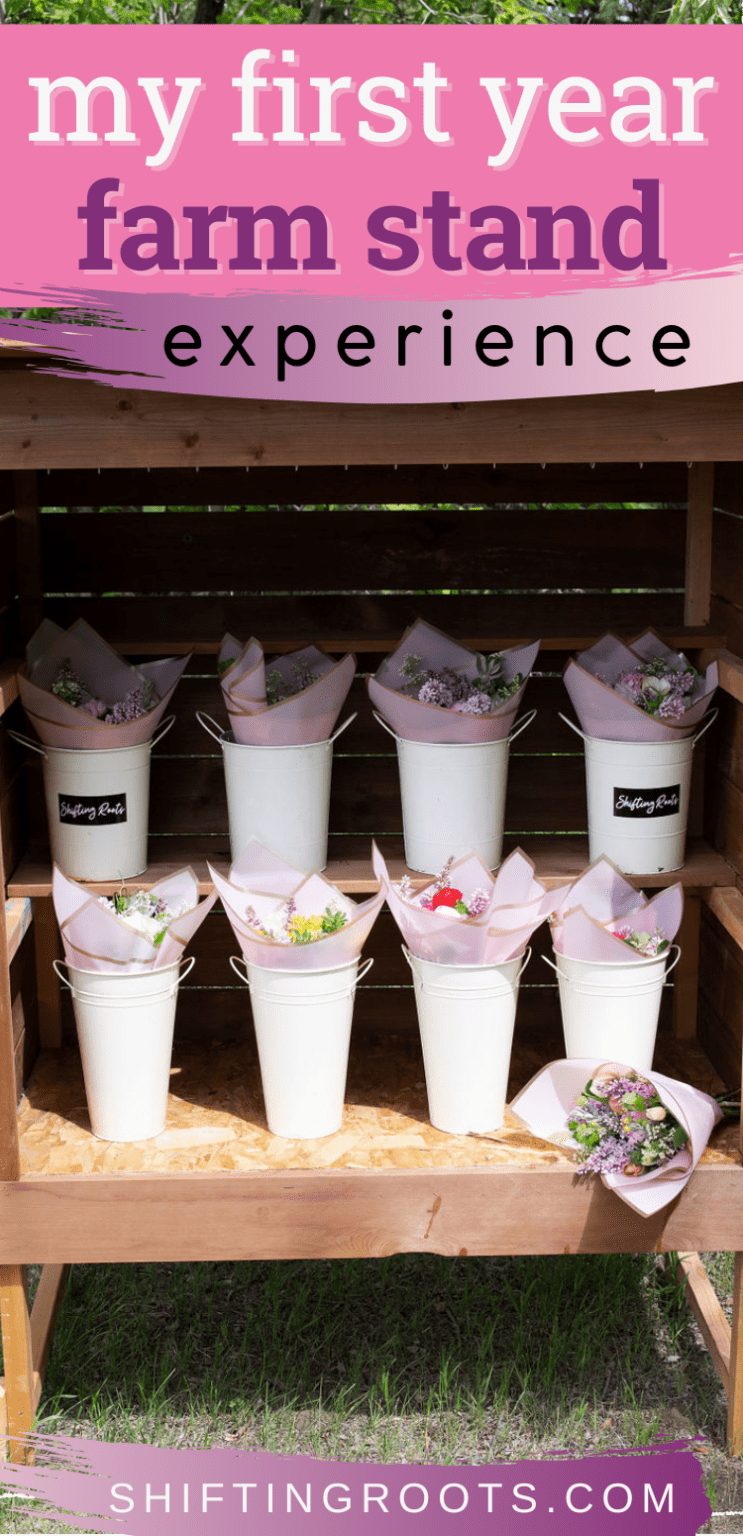 What I Learned in My First Year Running a Farm Stand | Shifting Roots
