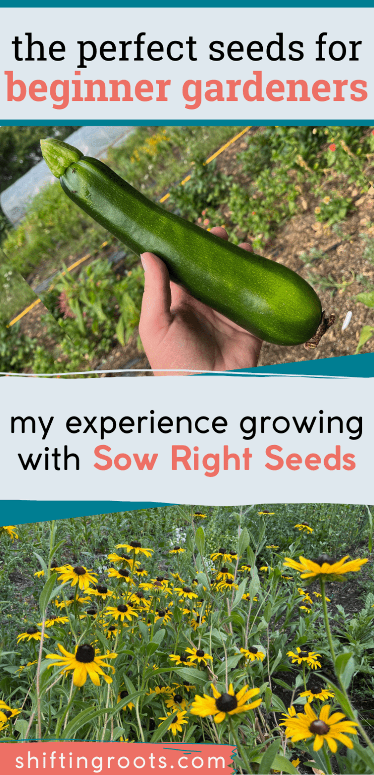Sow Right Seeds Canadian Review | Shifting Roots