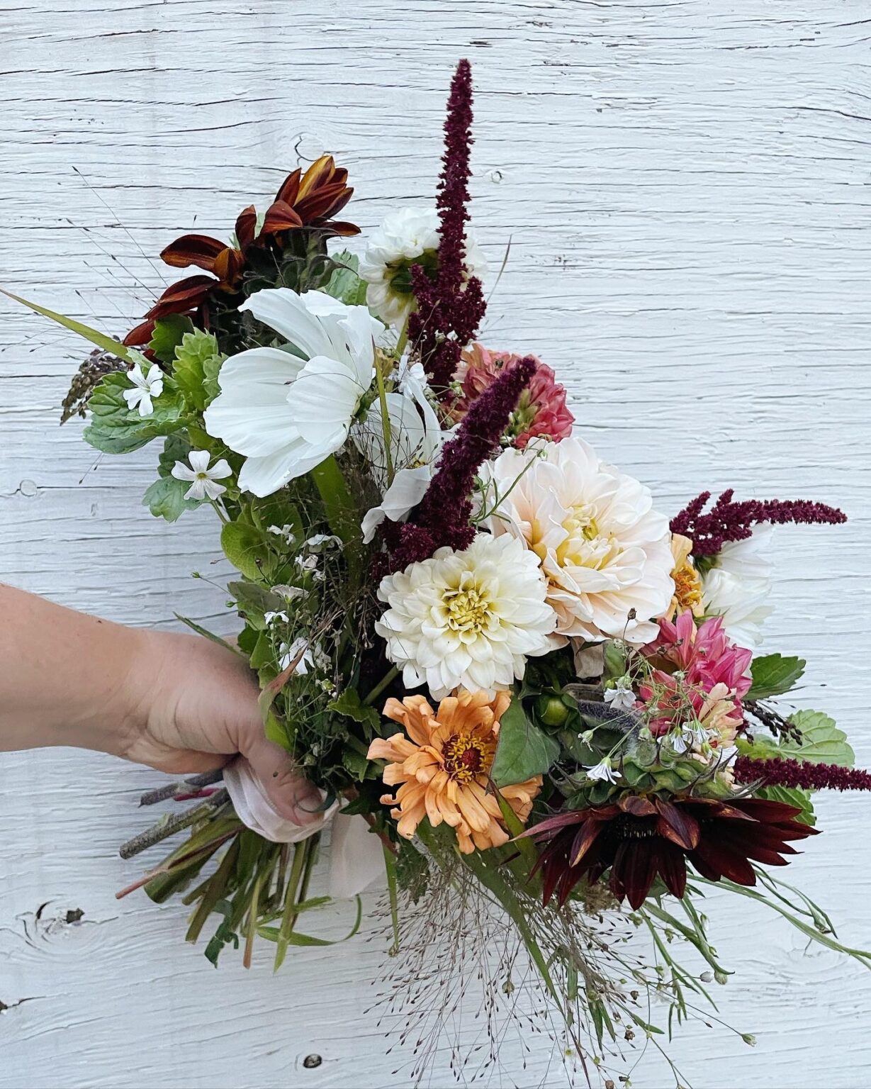 Grow a Garden Full of Pantone's 2025 Colour of the Year! | Shifting Roots