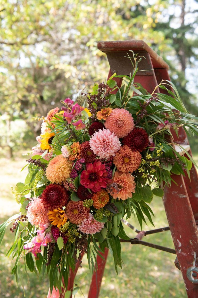 Grow a Garden Full of Pantone's 2025 Colour of the Year! | Shifting Roots