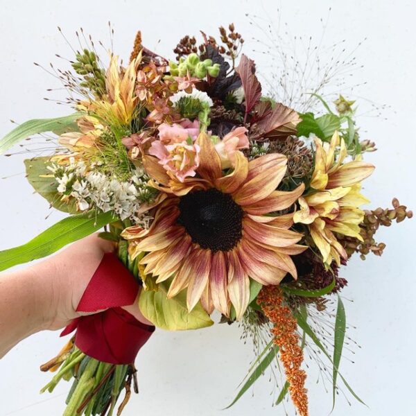 Grow a Garden Full of Pantone's 2025 Colour of the Year! | Shifting Roots