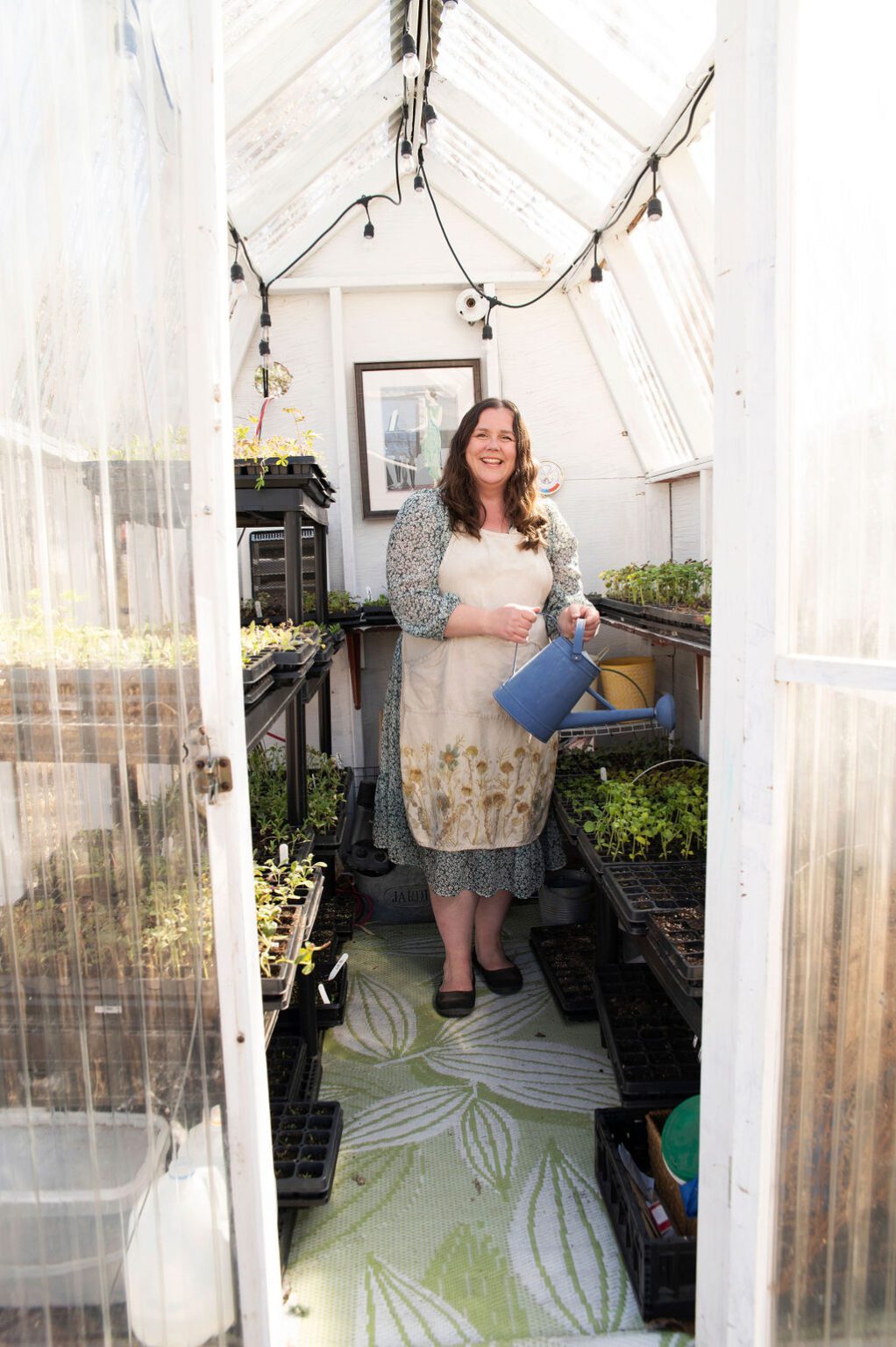 How to Seed Start | Shifting Roots