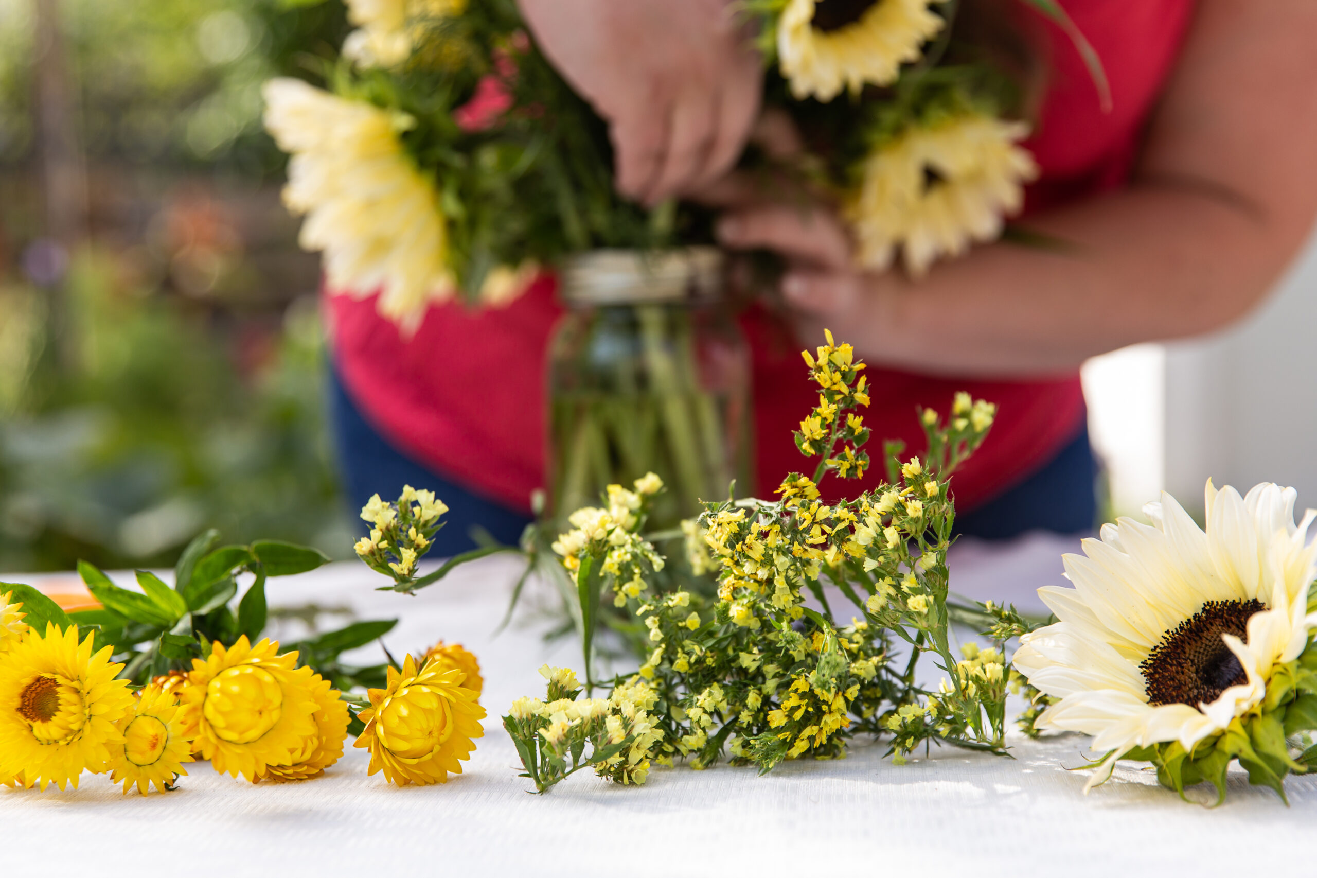 Hello Yellow! The Best Yellow Flowers to Add a Pop of Colour to Your ...