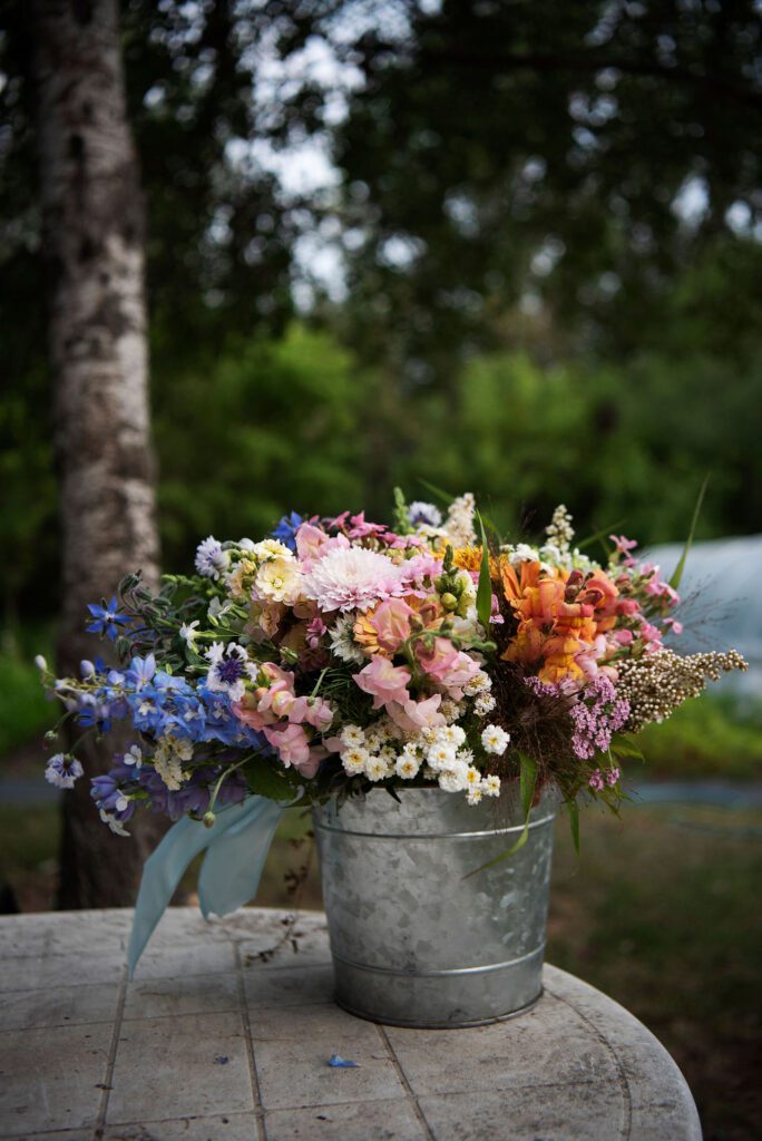 Somewhere Over The Rainbow: My Favourite Flowers of Every Colour ...