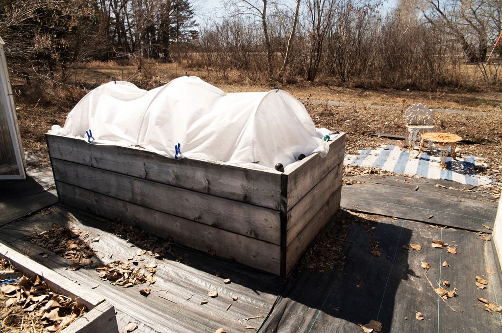 How Much Does It Really Cost to Start a Flower Farm? | Shifting Roots