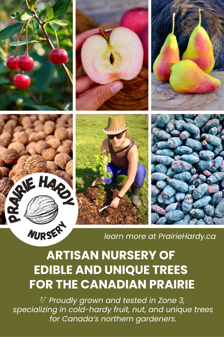 Canadian Seed Companies on the Prairies | Shifting Roots
